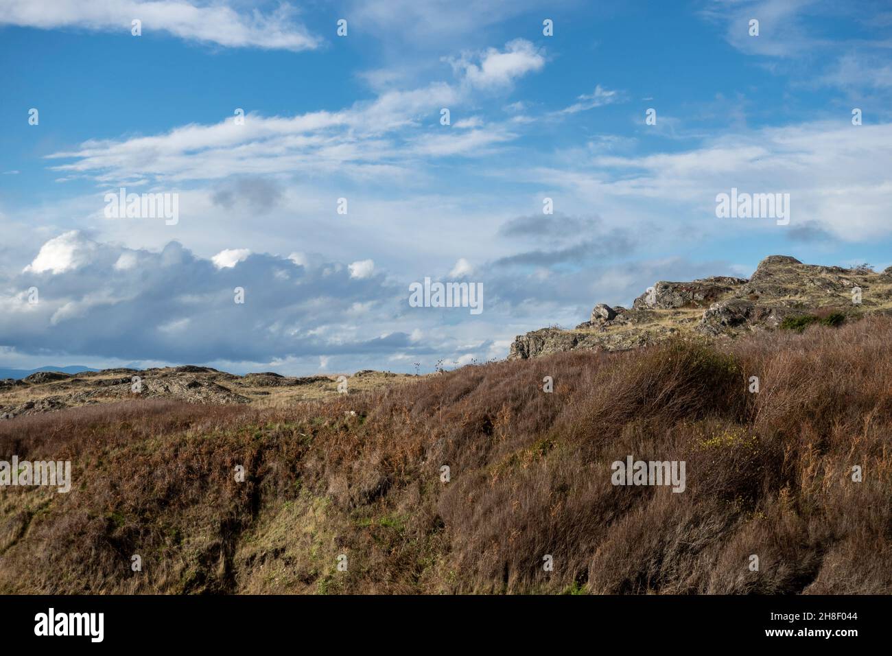 Gorgeous view of the grassy coastline on San Juan Island on a bright ...