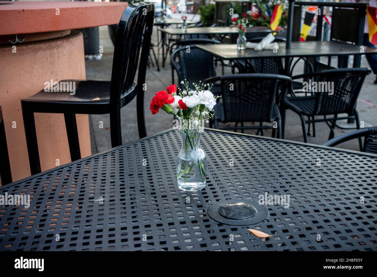 Side view of a glass vase filled with red and white carnations, on top ...