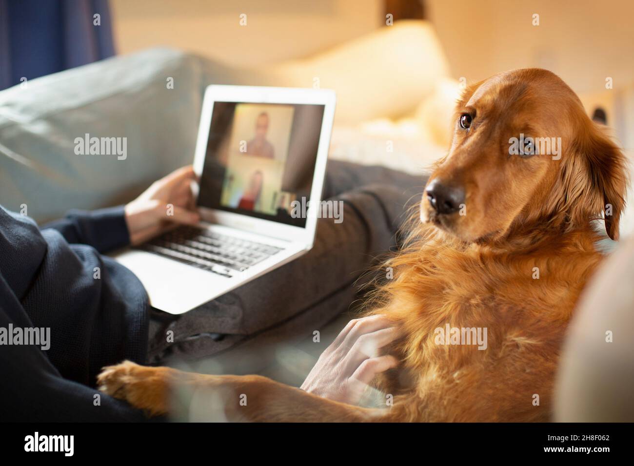 Dog man portrait hi-res stock photography and images - Alamy