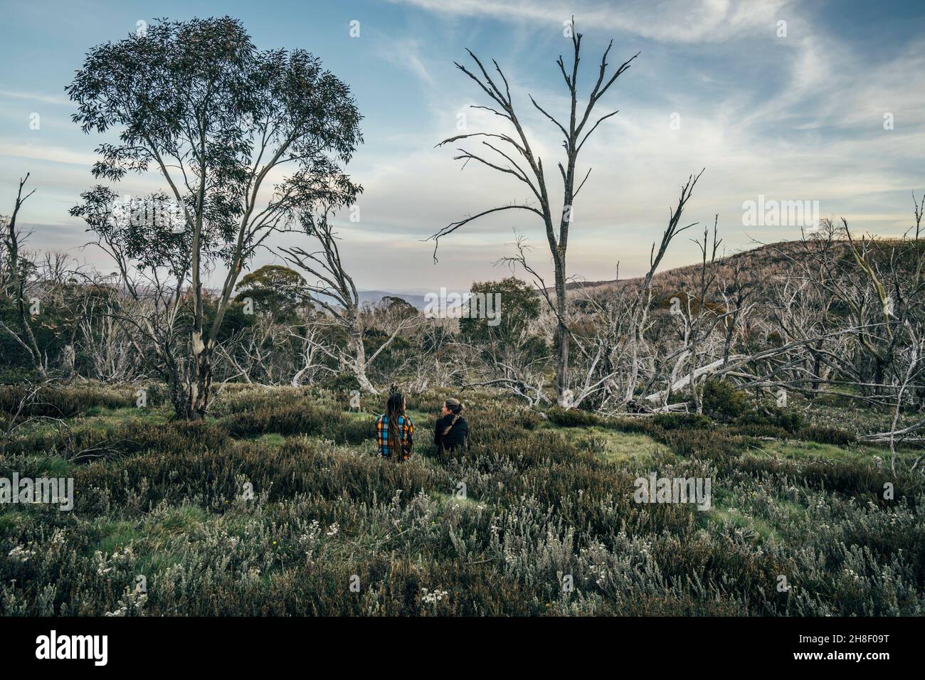 Couple exploring in remote Australia Bush Stock Photo - Alamy