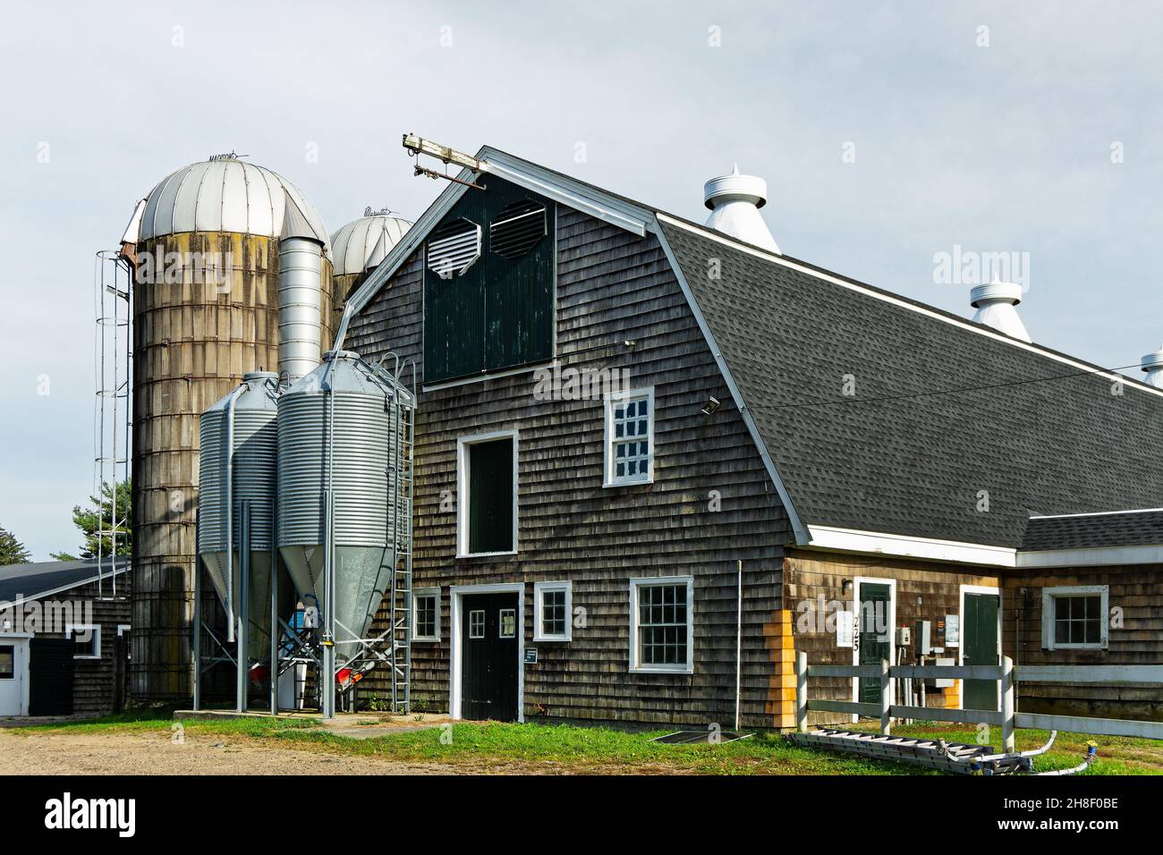 Picturesque wood shingle barn in a goldern hour at Appleton Farms ...