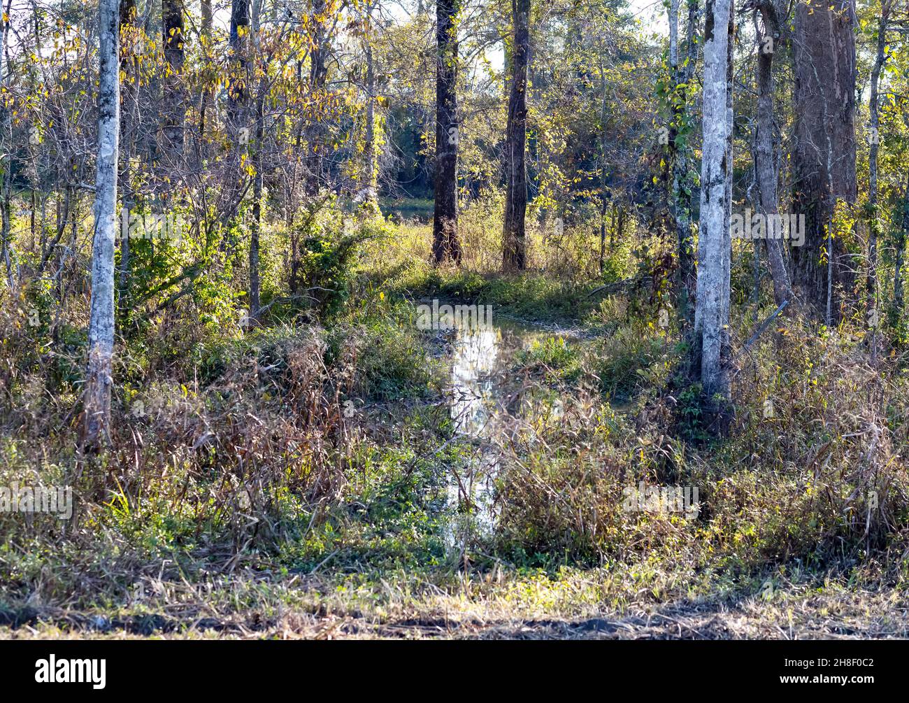 Corridor escape route hi-res stock photography and images - Alamy