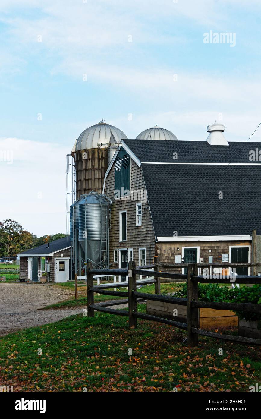 Picturesque wood shingle barn in a goldern hour at Appleton Farms ...