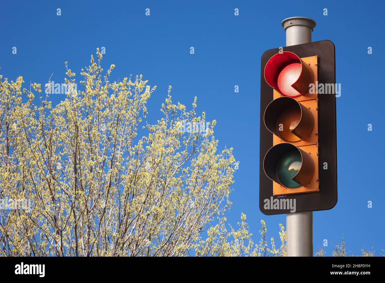 Yellow stop light hi-res stock photography and images - Alamy