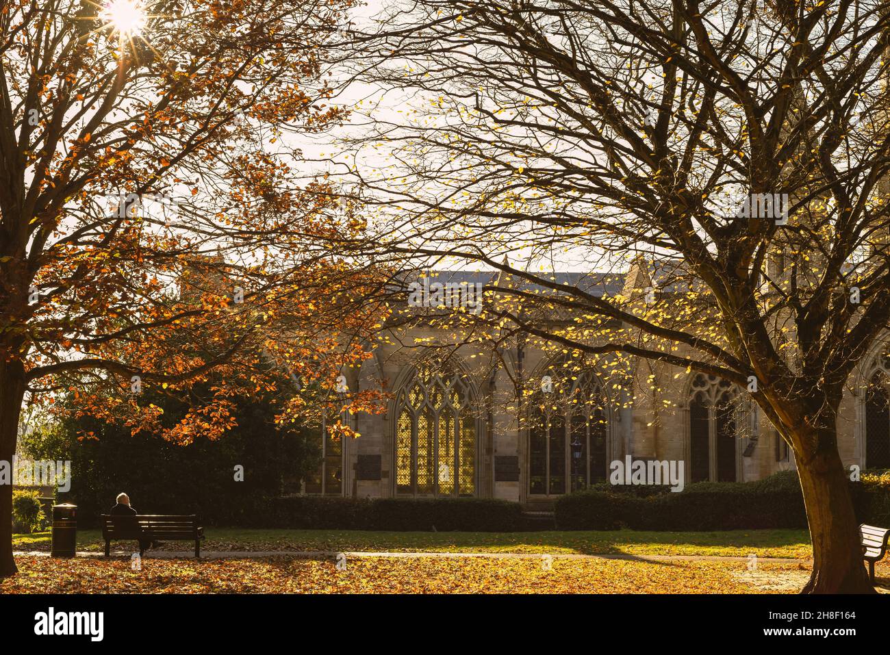 Public park with person sitting under tree in front of a church Stock ...