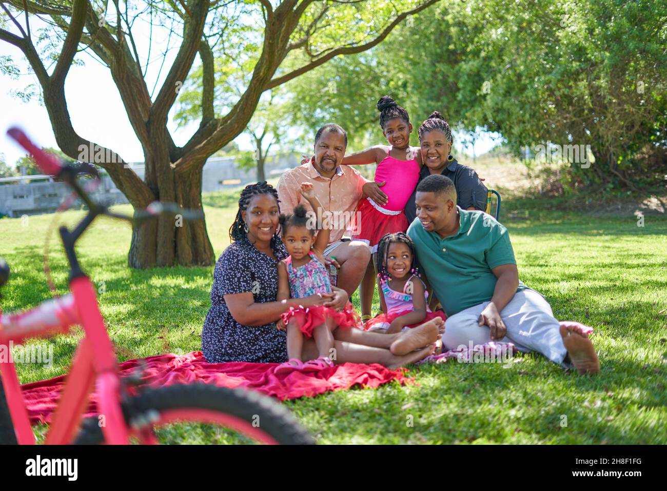 Multigenerational family posing in summer park Stock Photo - Alamy