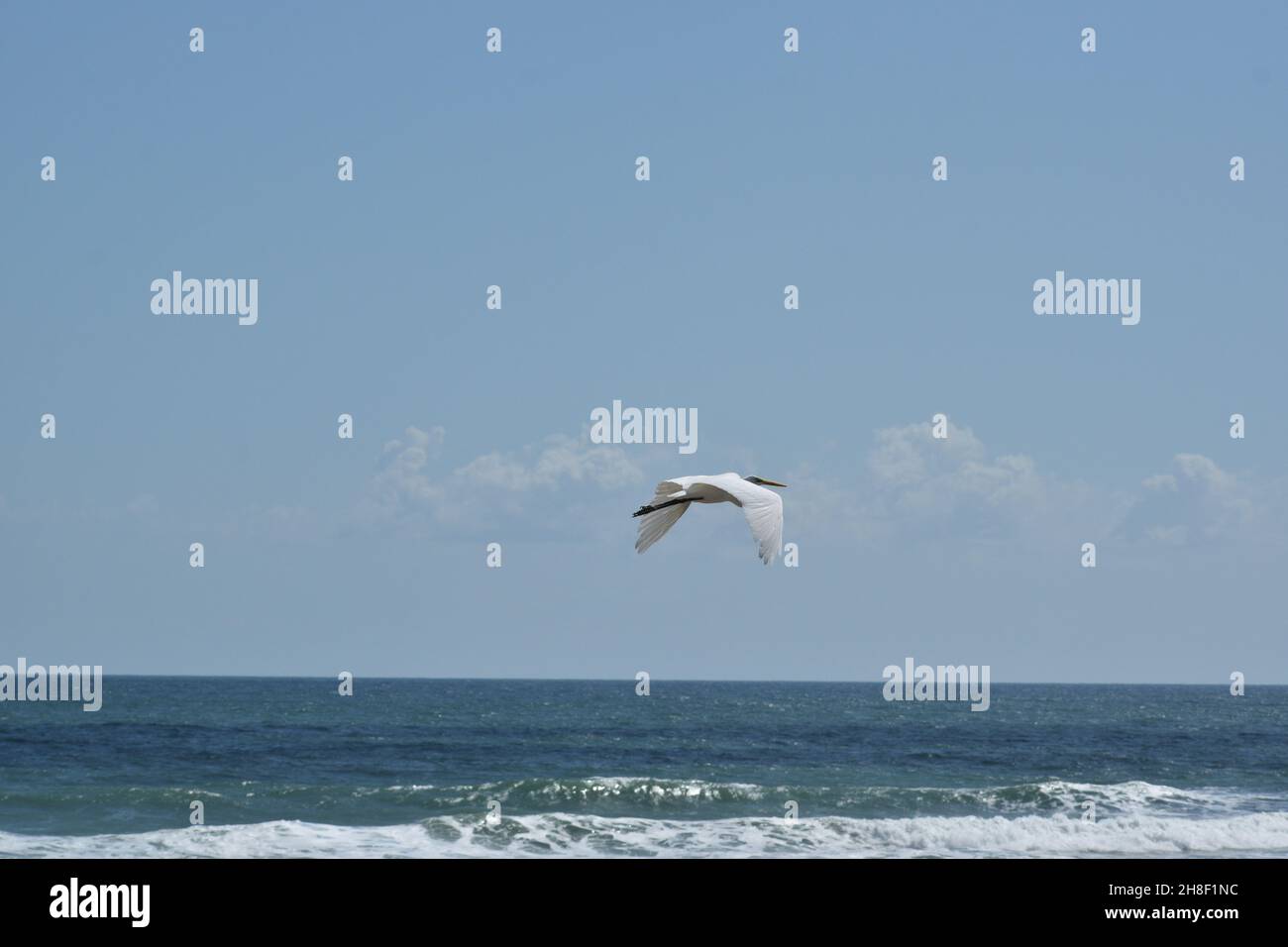Florida atlantic ocean shoreline seashore hi-res stock photography and ...