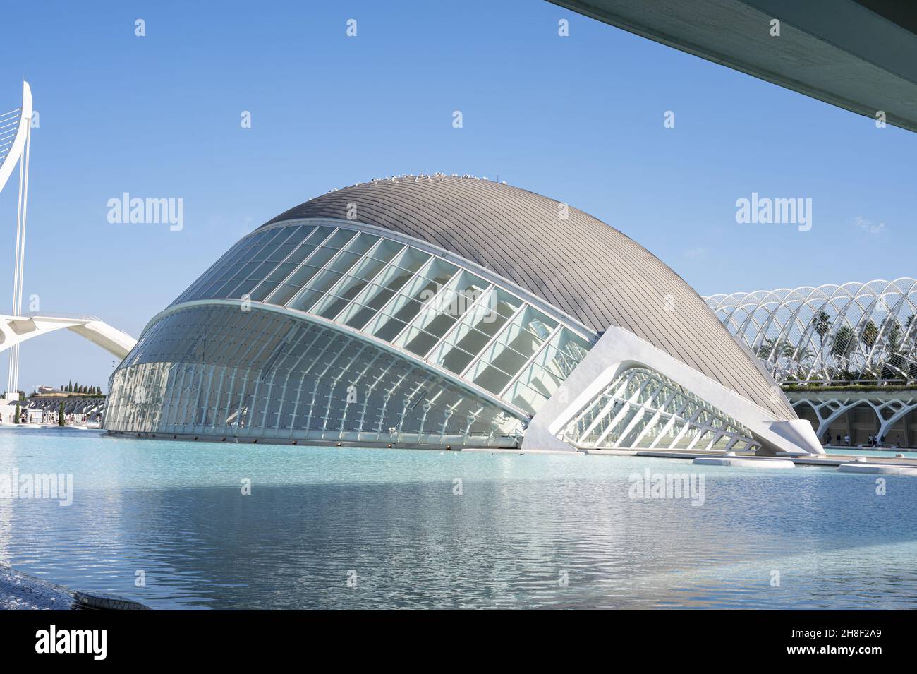 Stunning view of the famous Valencia Science Park in Valencia, Spain ...
