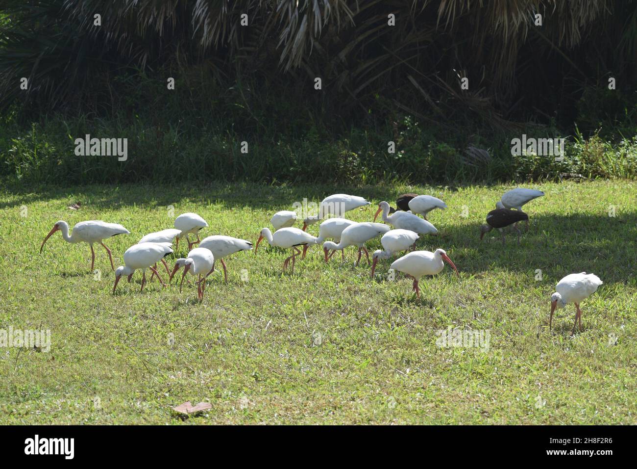 Urban rural interface hi-res stock photography and images - Alamy