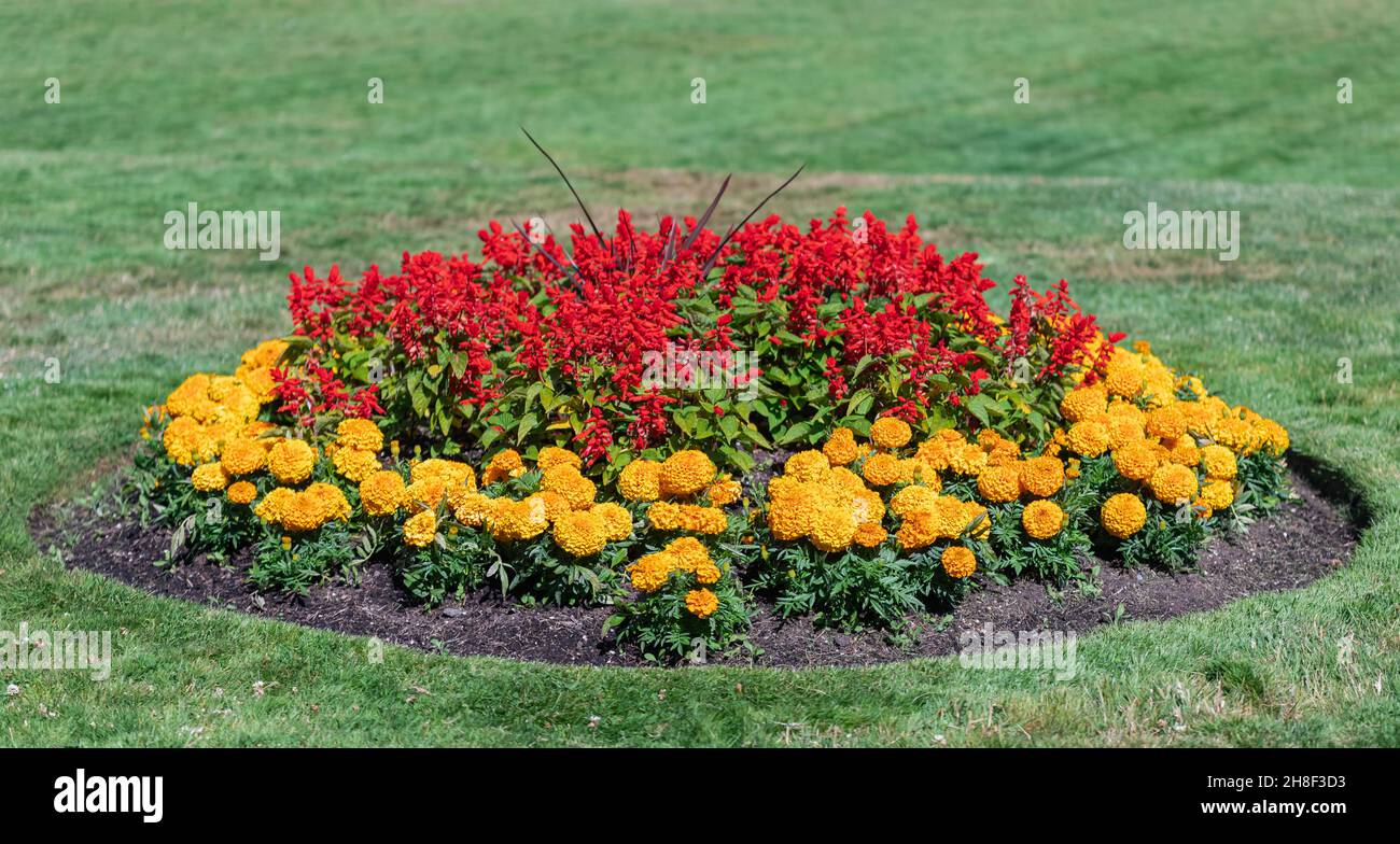 Round flower bed hi-res stock photography and images - Alamy