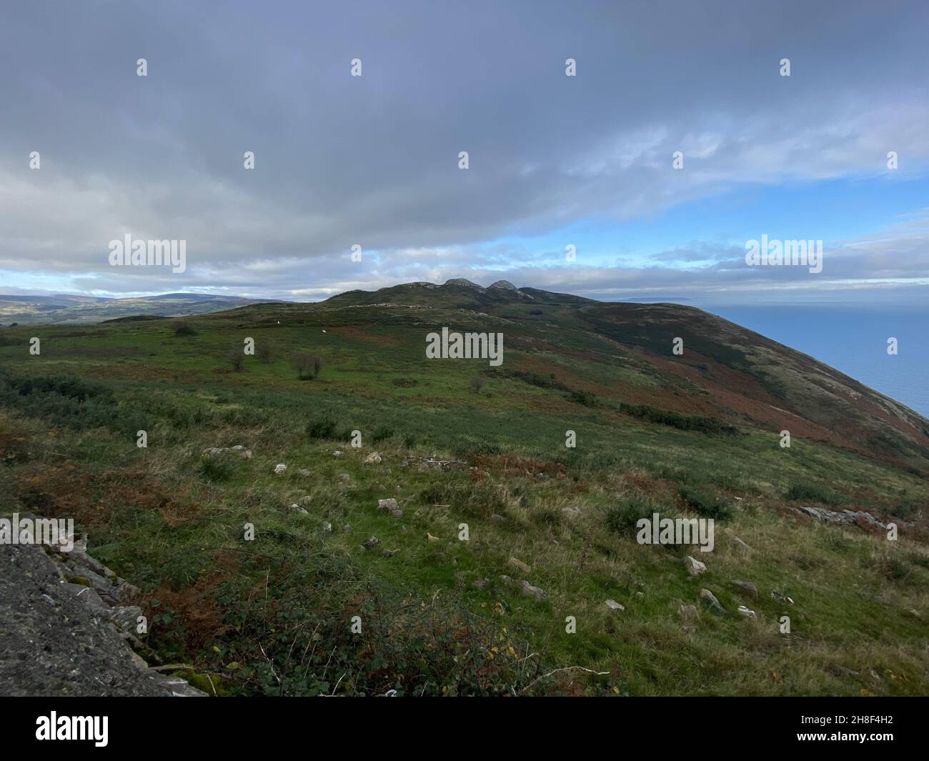 Beautiful view of a field on a cloudy day in Ireland, Bray Stock Photo ...