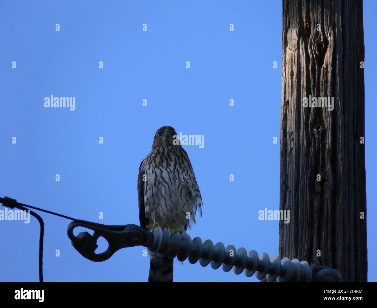 Wildlife interface hi-res stock photography and images - Alamy