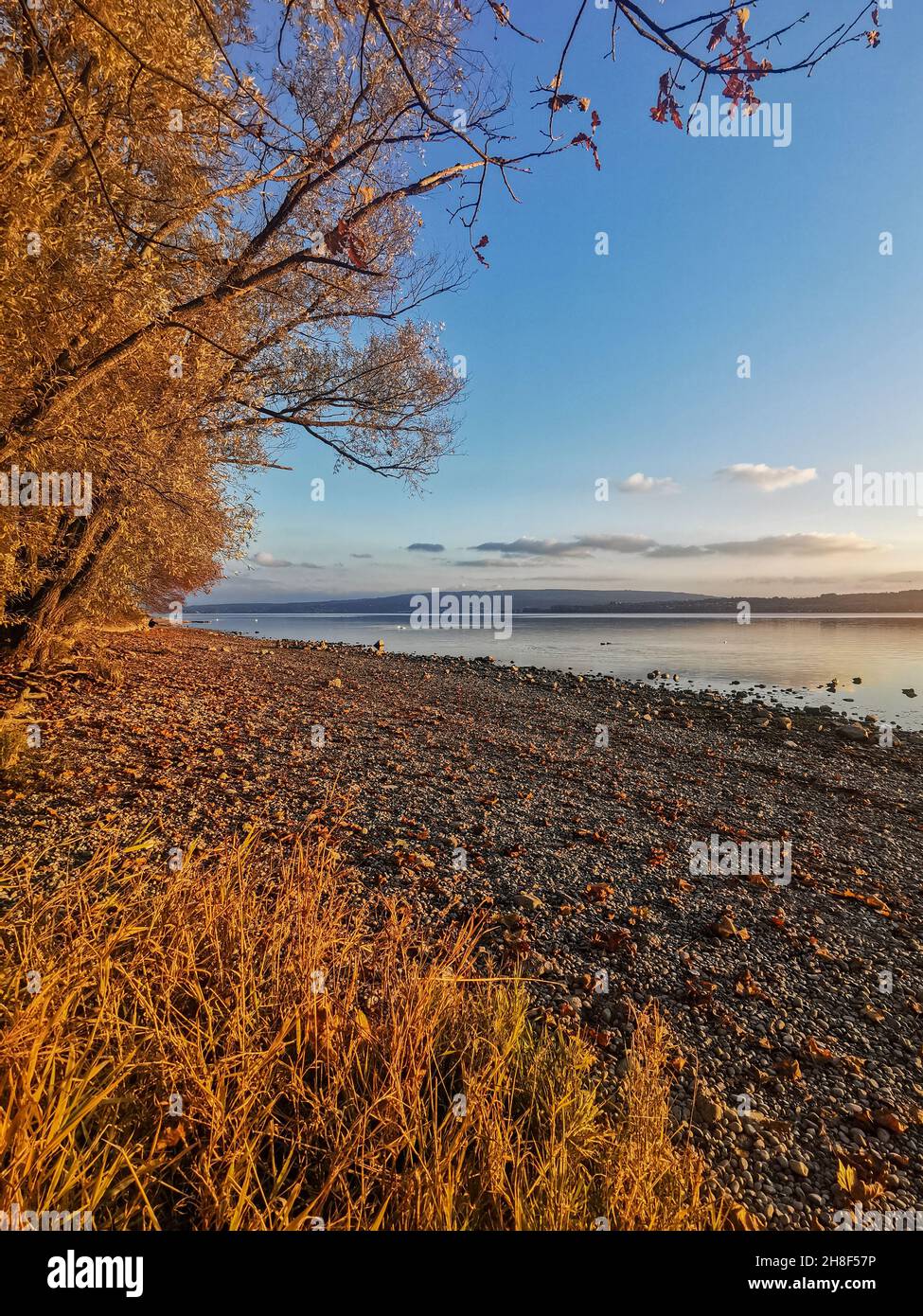 Lake constance landscape hi-res stock photography and images - Alamy