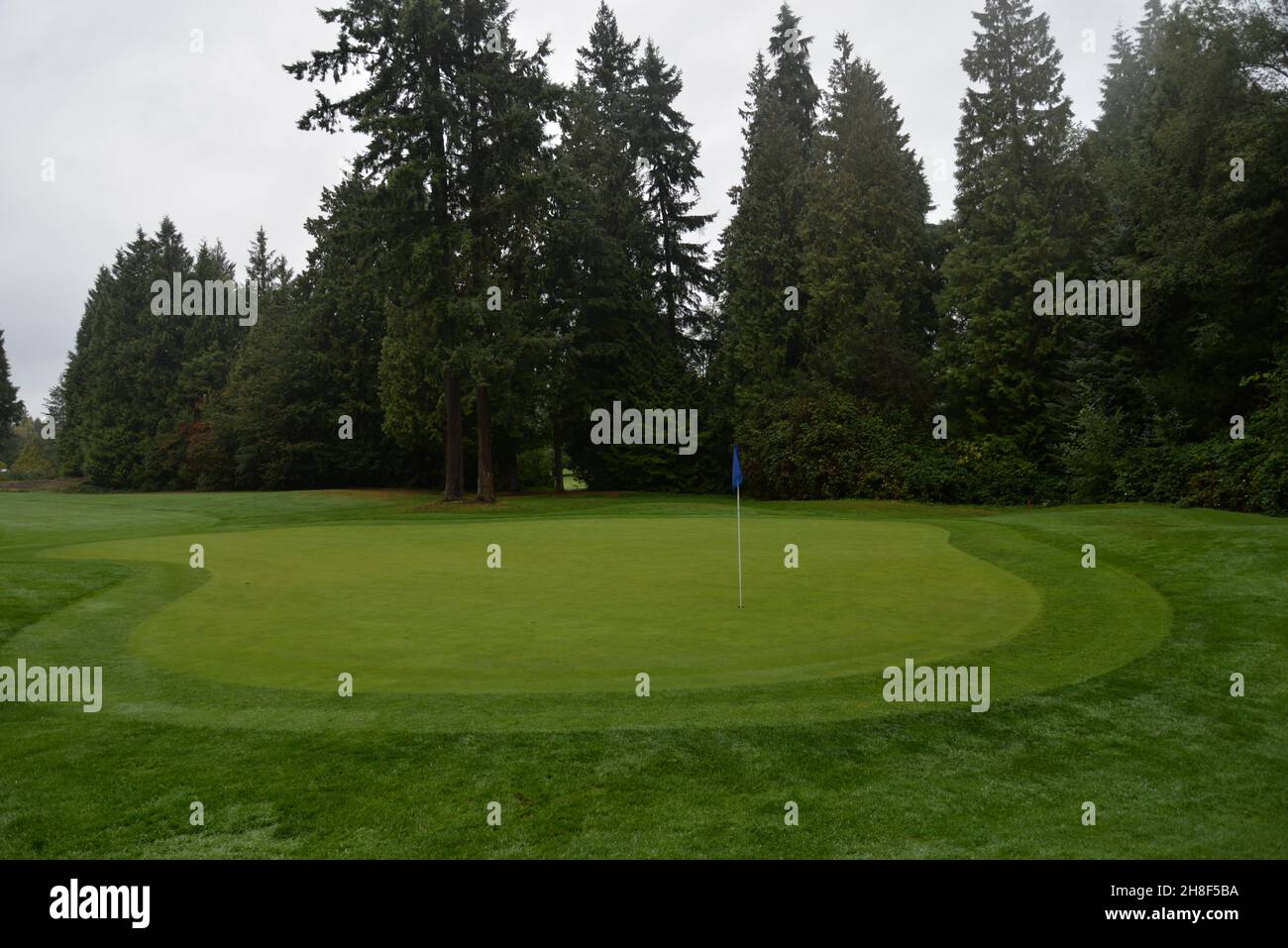 Golf course on a rainy and misty day Stock Photo - Alamy