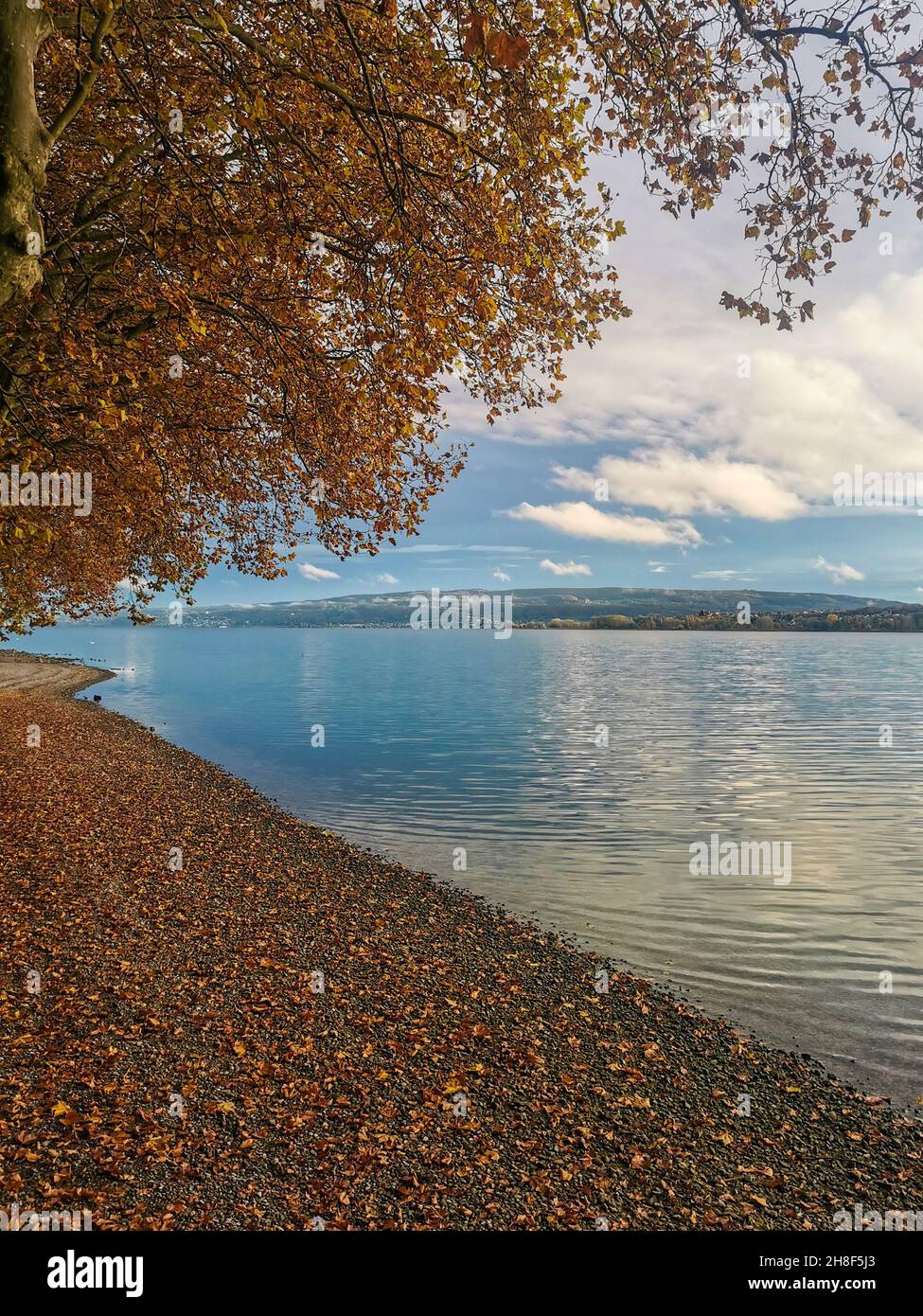 Lake constance landscape hi-res stock photography and images - Alamy