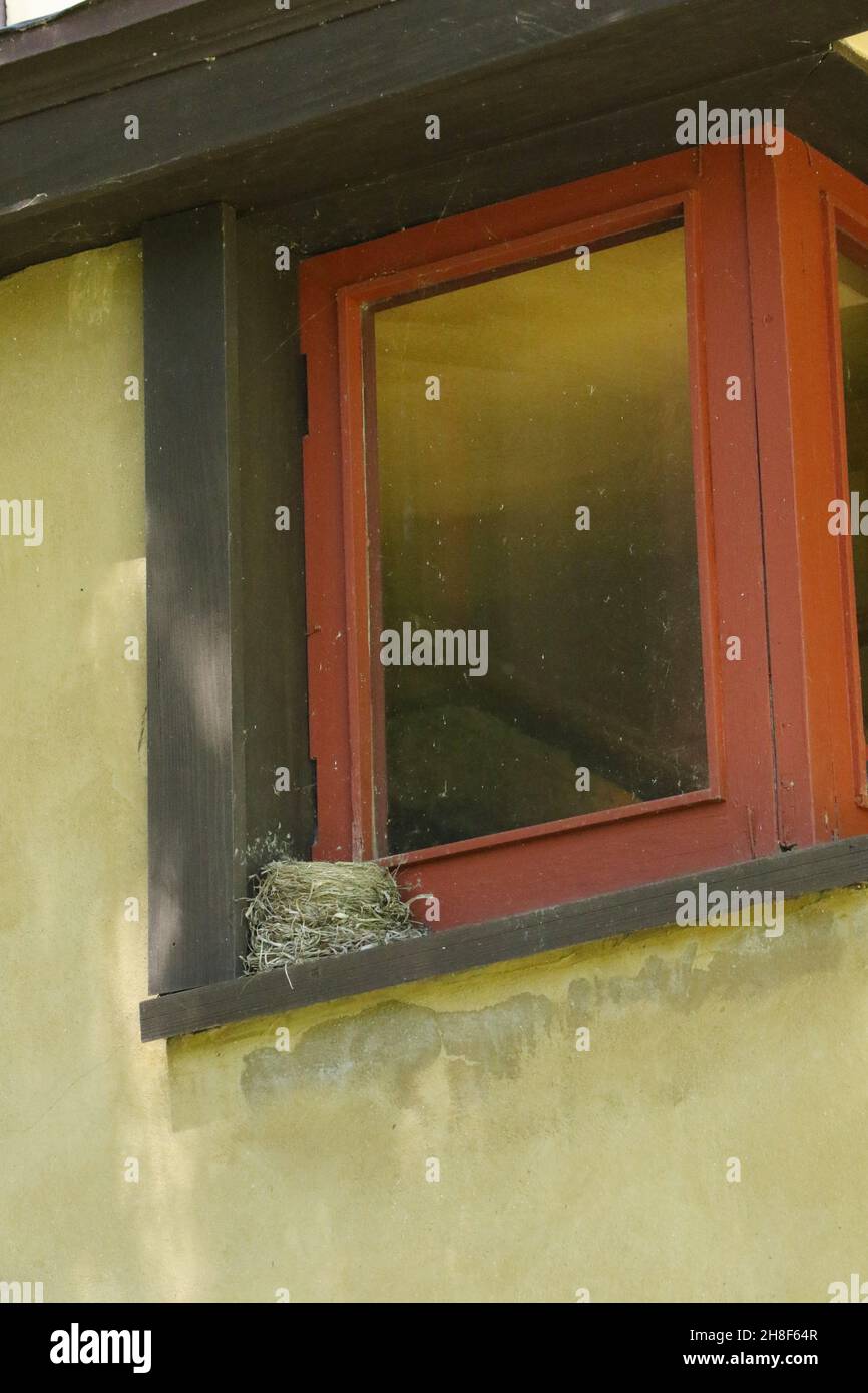 Taliesin house exterior. With a modern active bird nest. Note a lot of ...