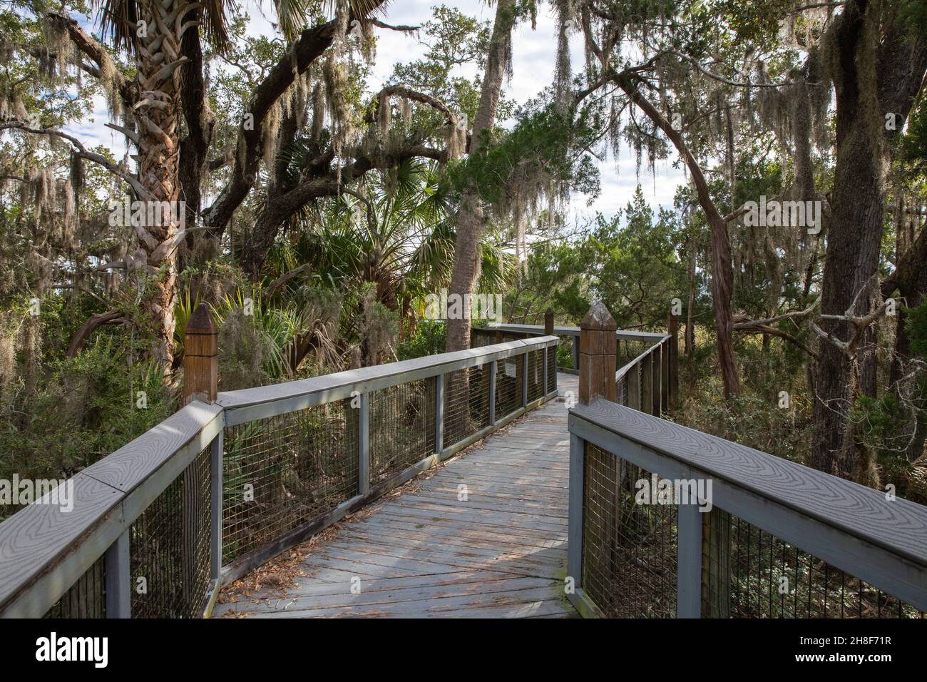 Florida salt marsh boardwalk hi-res stock photography and images - Alamy