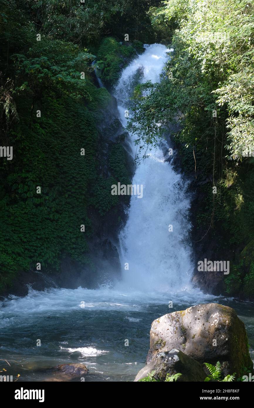 Waterfall view in Ubud, Bali, Indonesia Stock Photo - Alamy