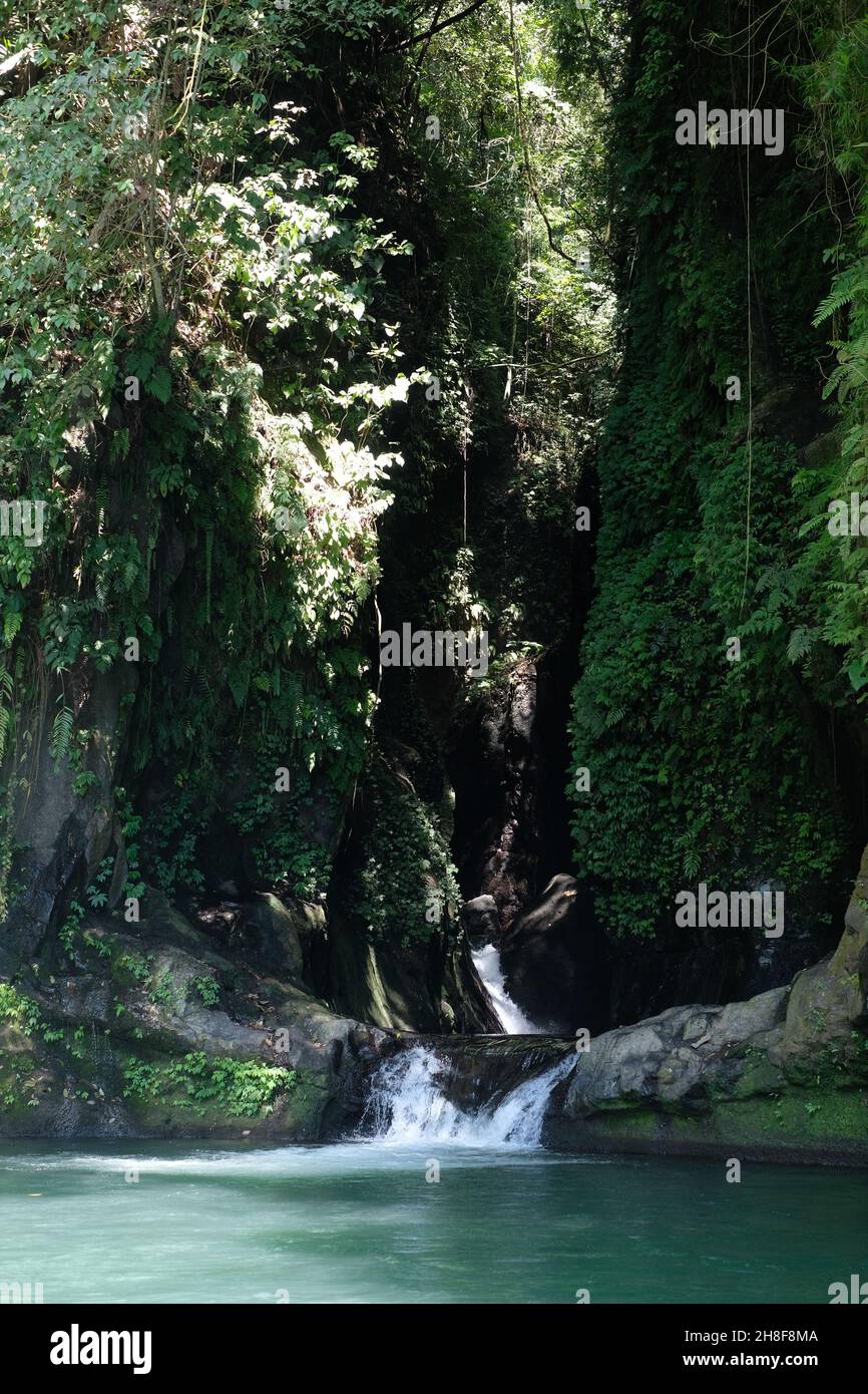 Waterfall view in Ubud, Bali, Indonesia Stock Photo - Alamy