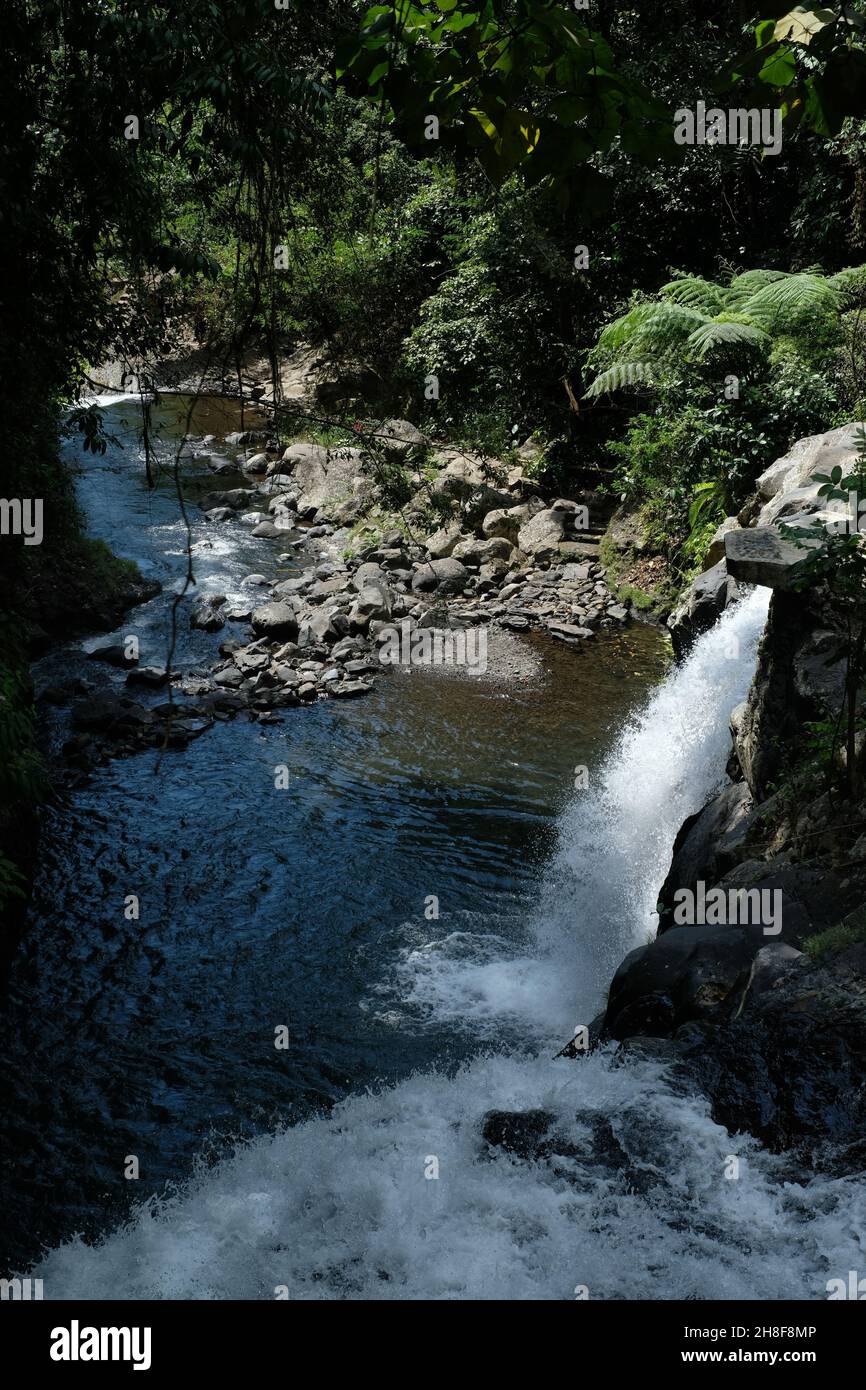 Waterfall view in Ubud, Bali, Indonesia Stock Photo - Alamy
