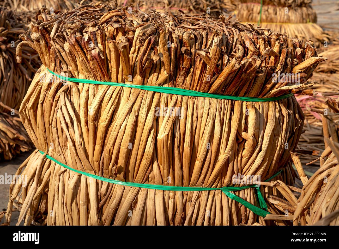 Dried water hyacinths (Eichhornia crassipes) to make handicrafts in Moc ...