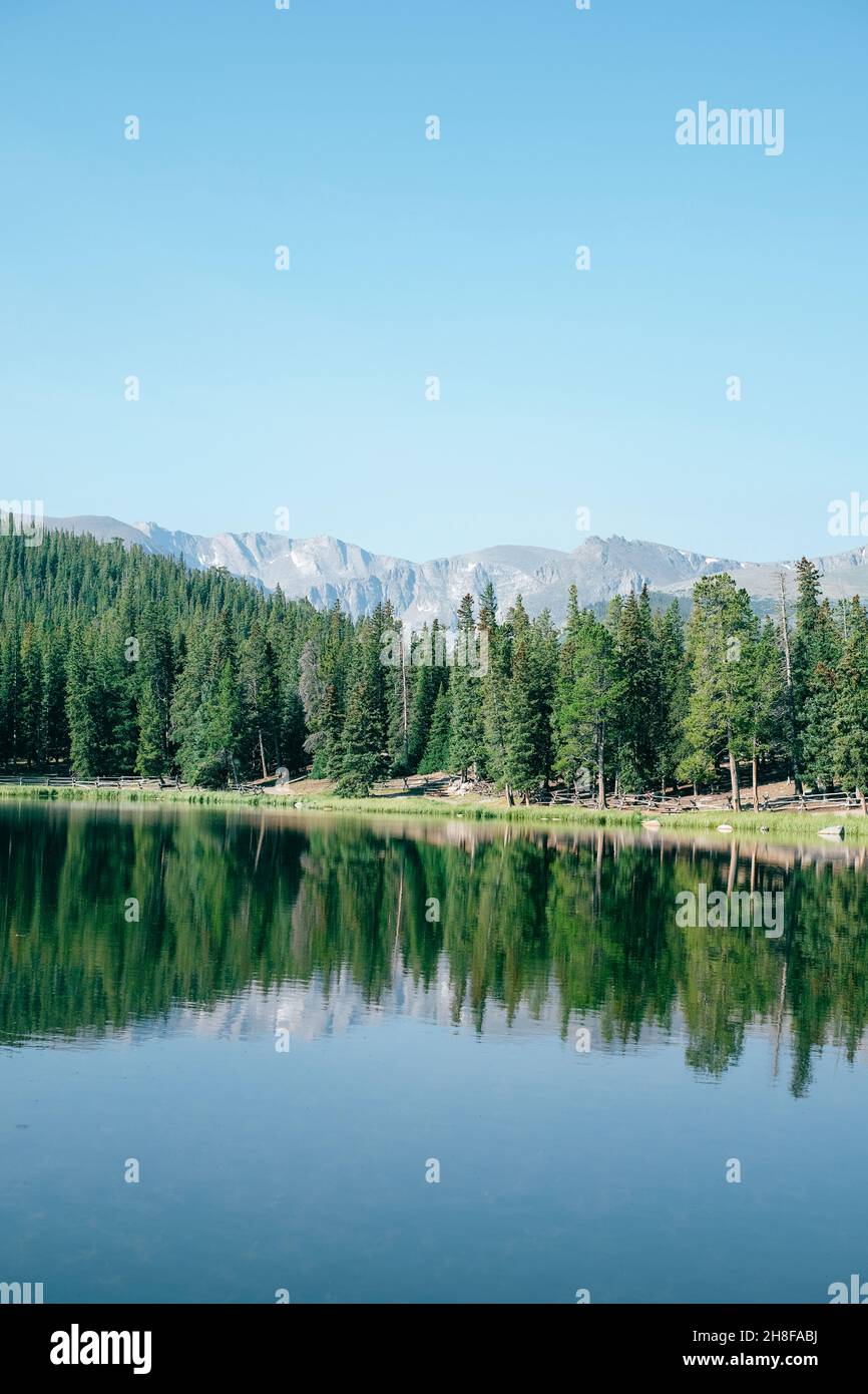 Mountain and forest trees reflection in lake in Colorado Stock Photo ...