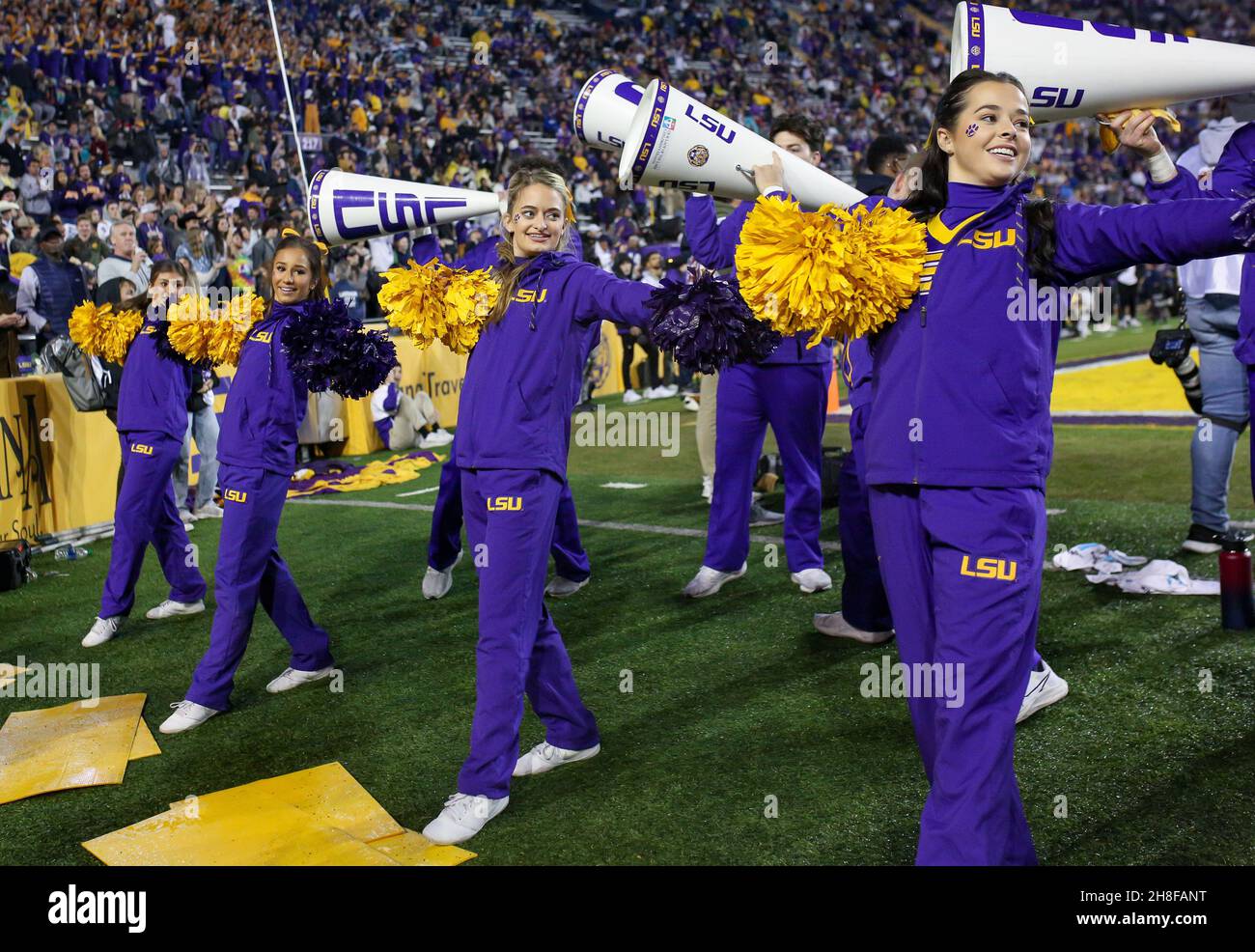 Tiger tunes hi-res stock photography and images - Alamy