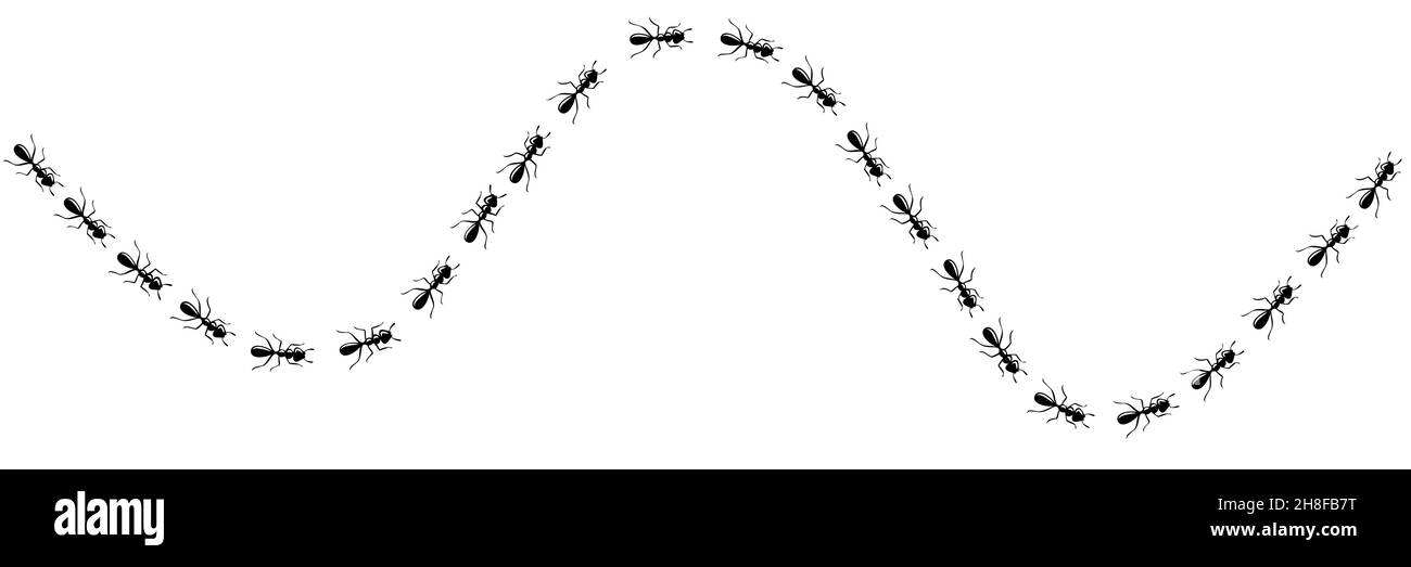 Worker ants trail curve. Ant path isolated in white background. Vector illustration Stock Vector ...