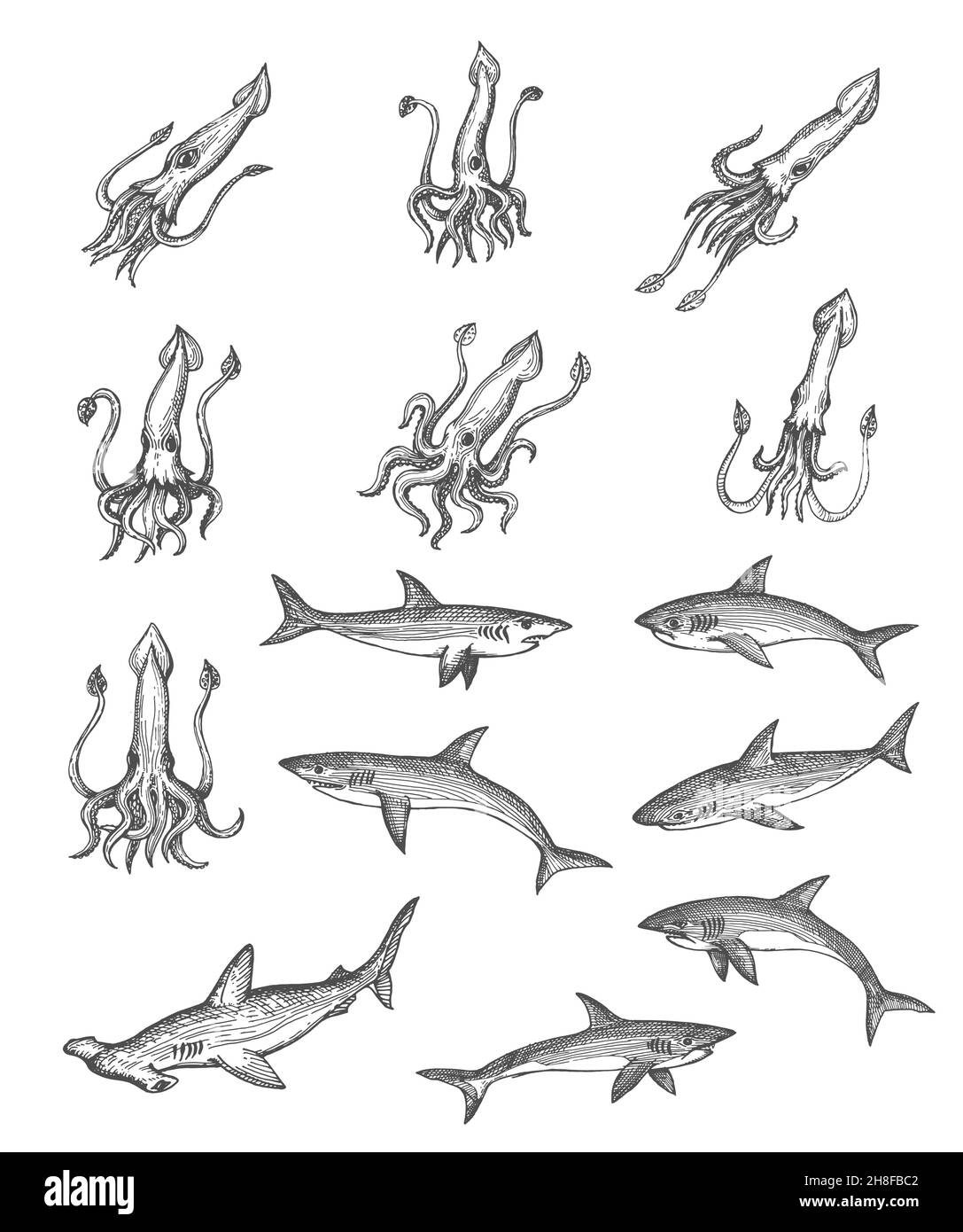 Old sea map monsters Cut Out Stock Images & Pictures - Alamy