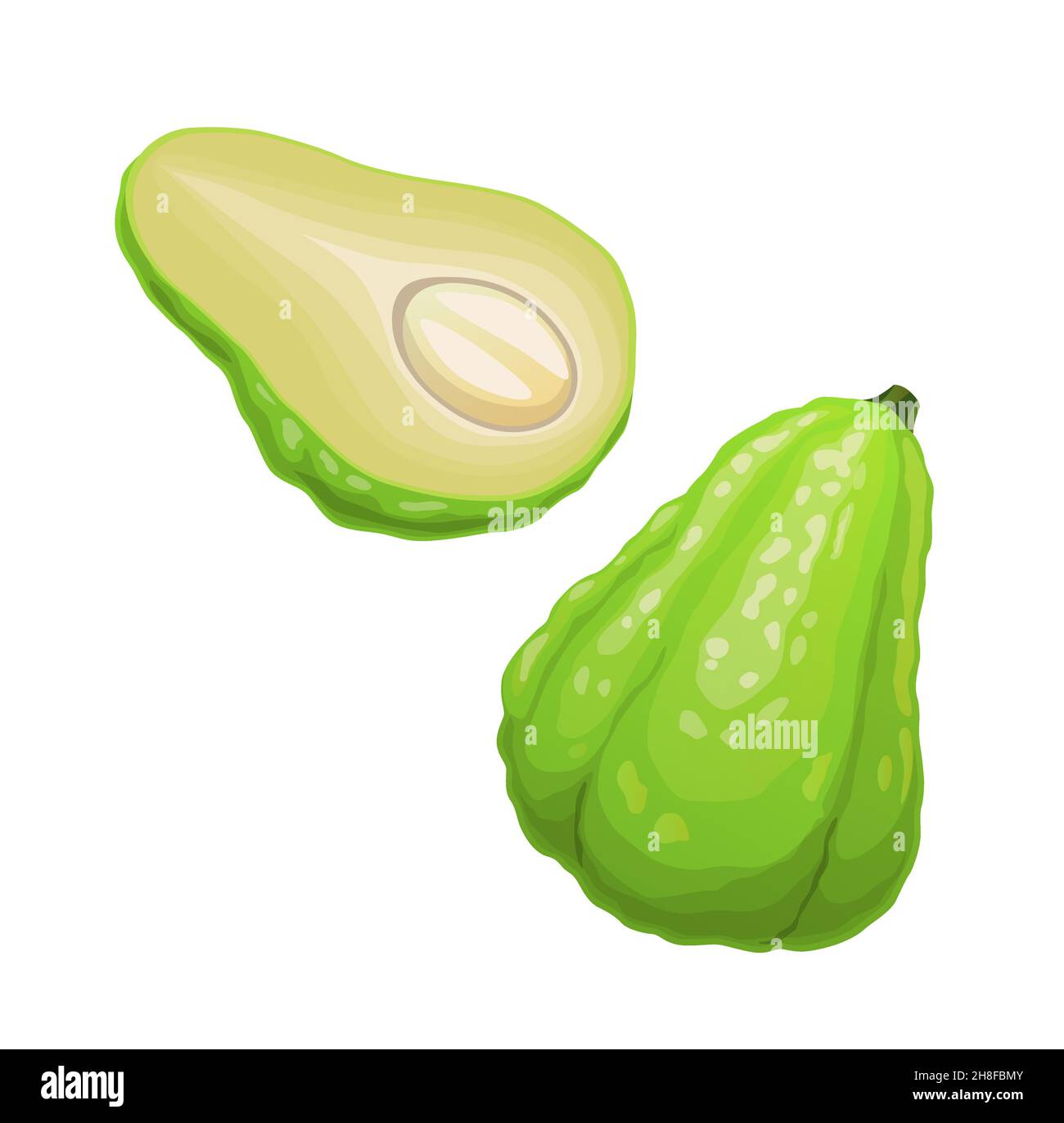 Isolated raw chayote vegetable plant. Full and sliced in half ripe ...