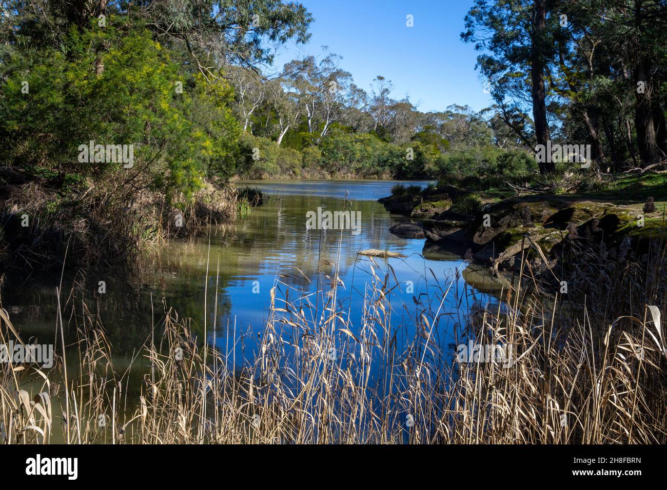 Berrima river walk hi-res stock photography and images - Alamy