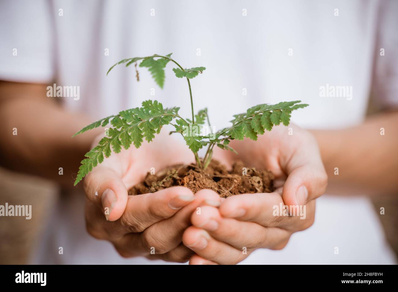 planting tree for better environment sustainability Stock Photo - Alamy