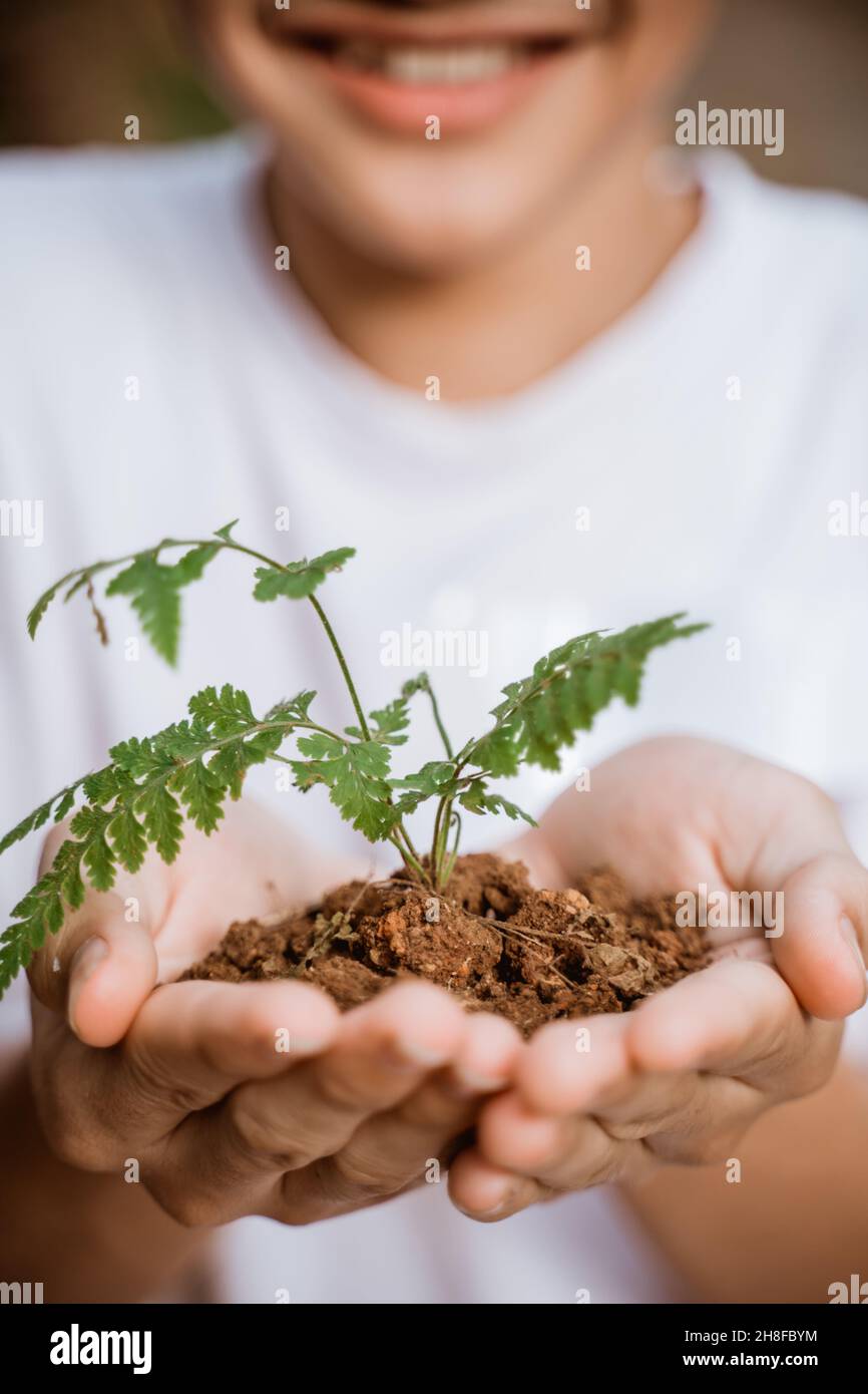 planting tree for better environment sustainability Stock Photo - Alamy