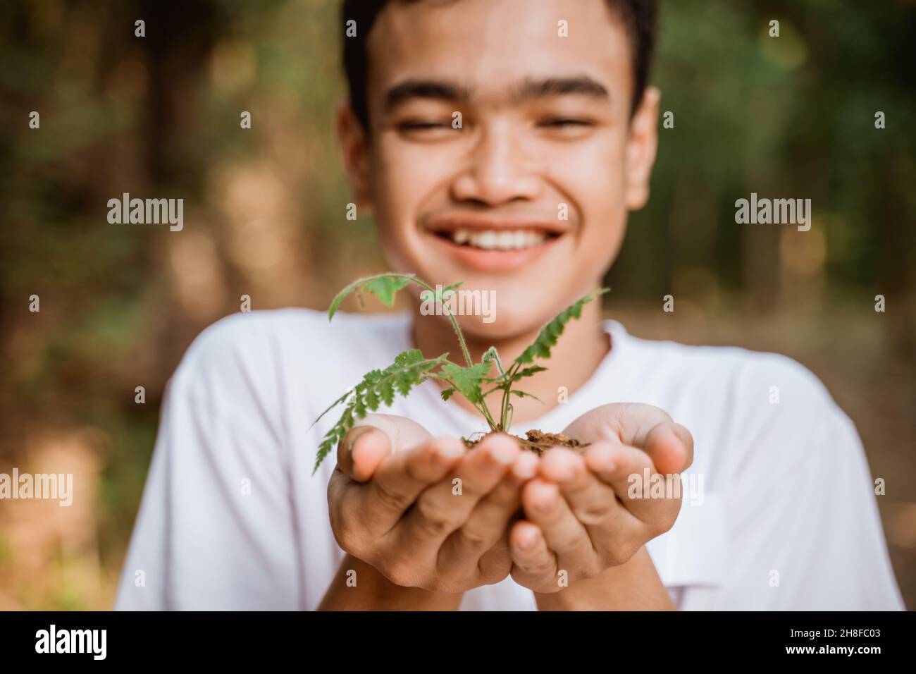 planting tree for better environment sustainability Stock Photo - Alamy