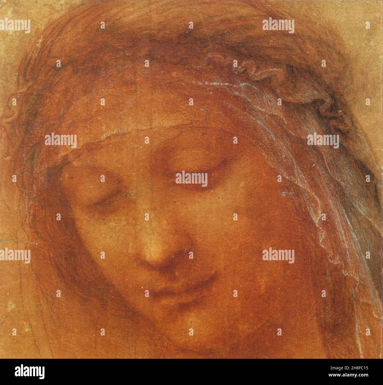 Leonardo da vinci head of a woman hi-res stock photography and images ...