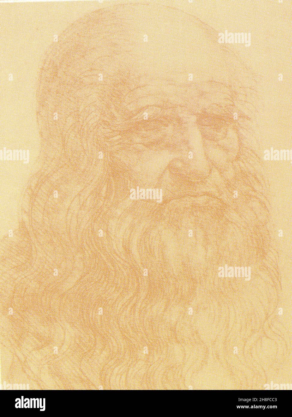 Self portrait of leonardo da vinci hi-res stock photography and images ...