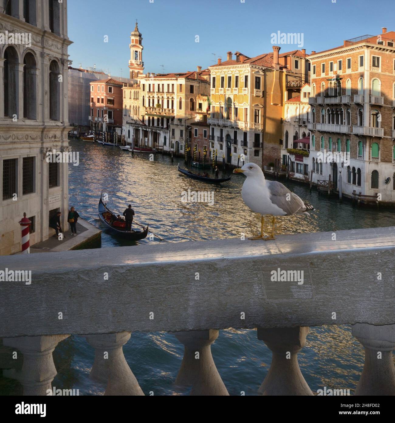 Grand canal venice one image hi-res stock photography and images - Alamy