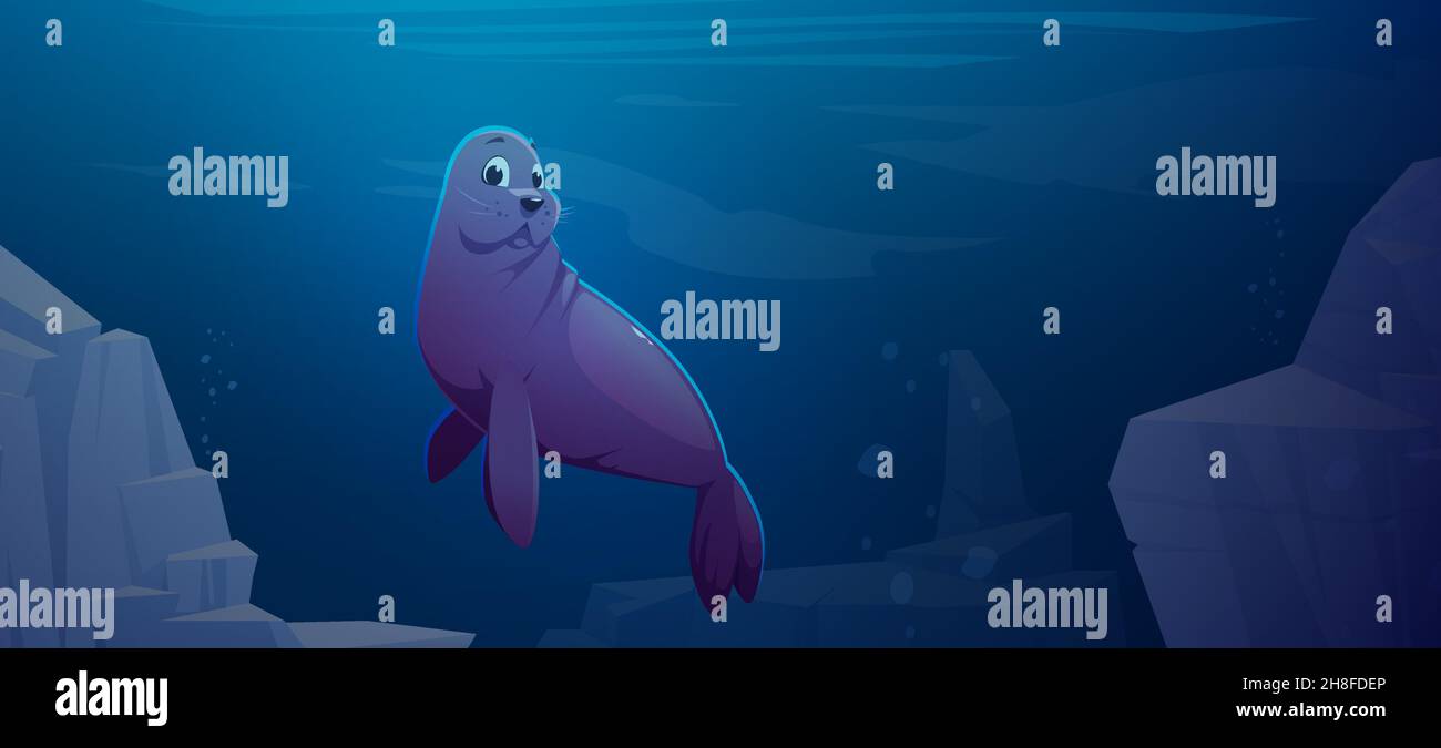 Cute fur seal swim in underwater ocean space with rocks around. Marine ...