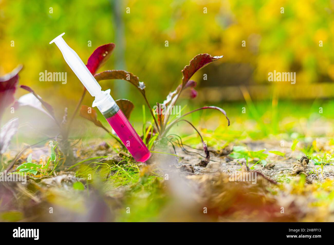 A syringe with a substance for very fast growth is embedded in the soil ...