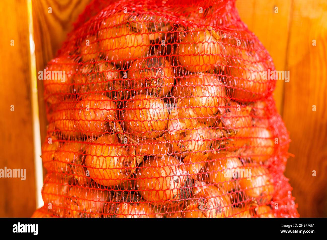 Onions in a vegetable net close-up Stock Photo - Alamy