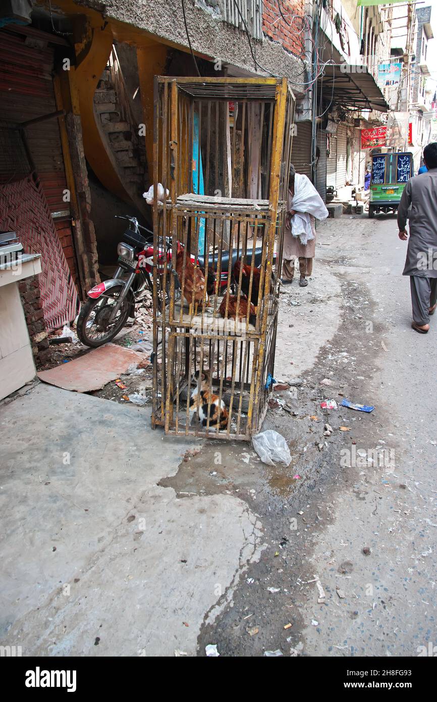 The local market in Lahore, Punjab province, Pakistan Stock Photo - Alamy