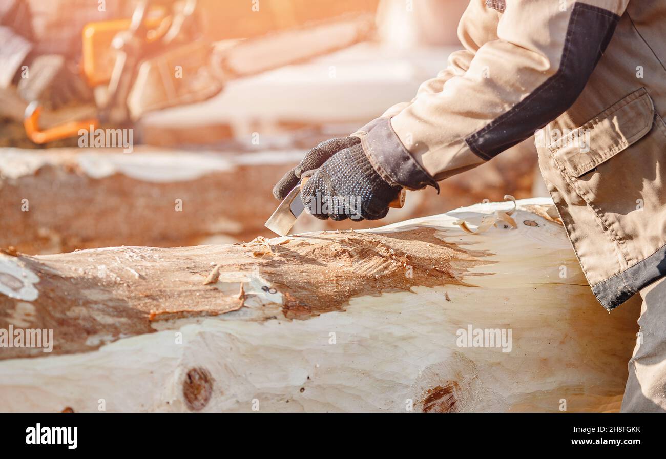 Preparation of timber for construction of log wooden houses. Carpenter ...