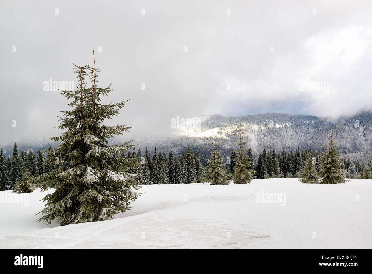 Deep in the mountains hi-res stock photography and images - Alamy