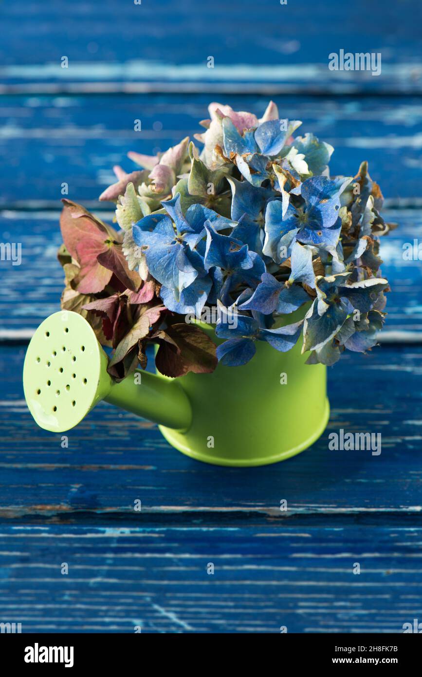 Waterin hi-res stock photography and images - Alamy