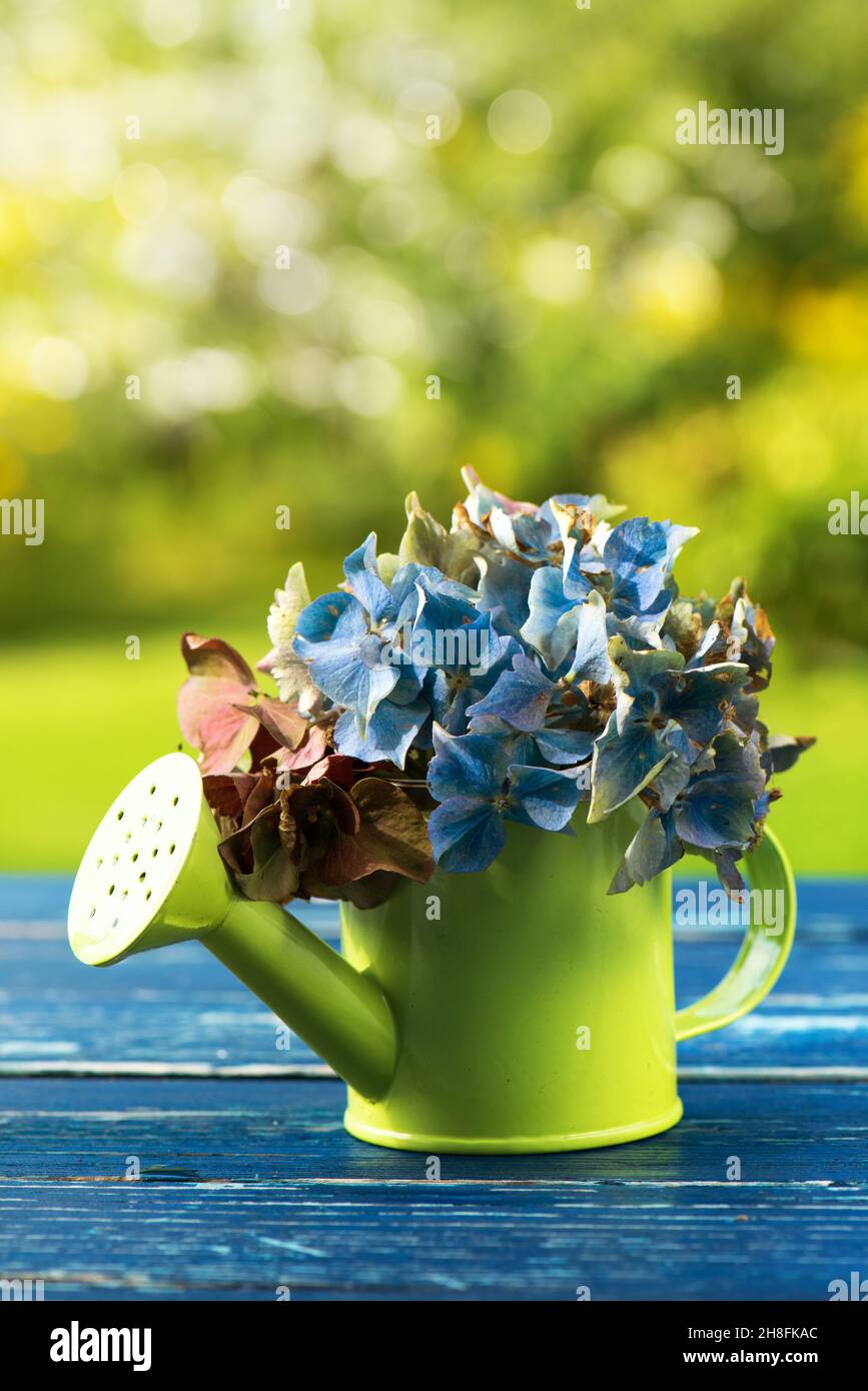 Waterin hi-res stock photography and images - Alamy