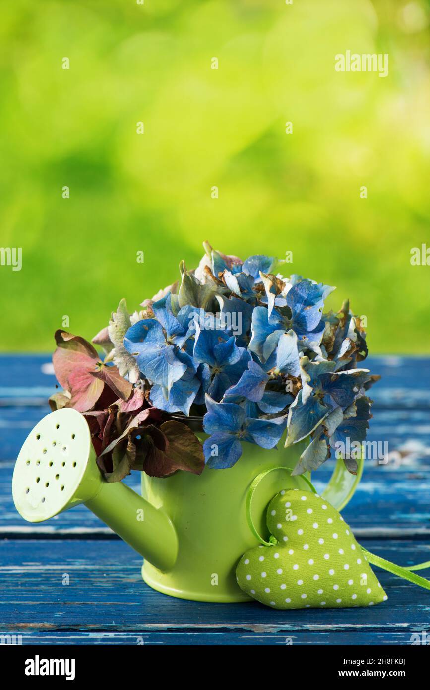 Waterin hi-res stock photography and images - Alamy