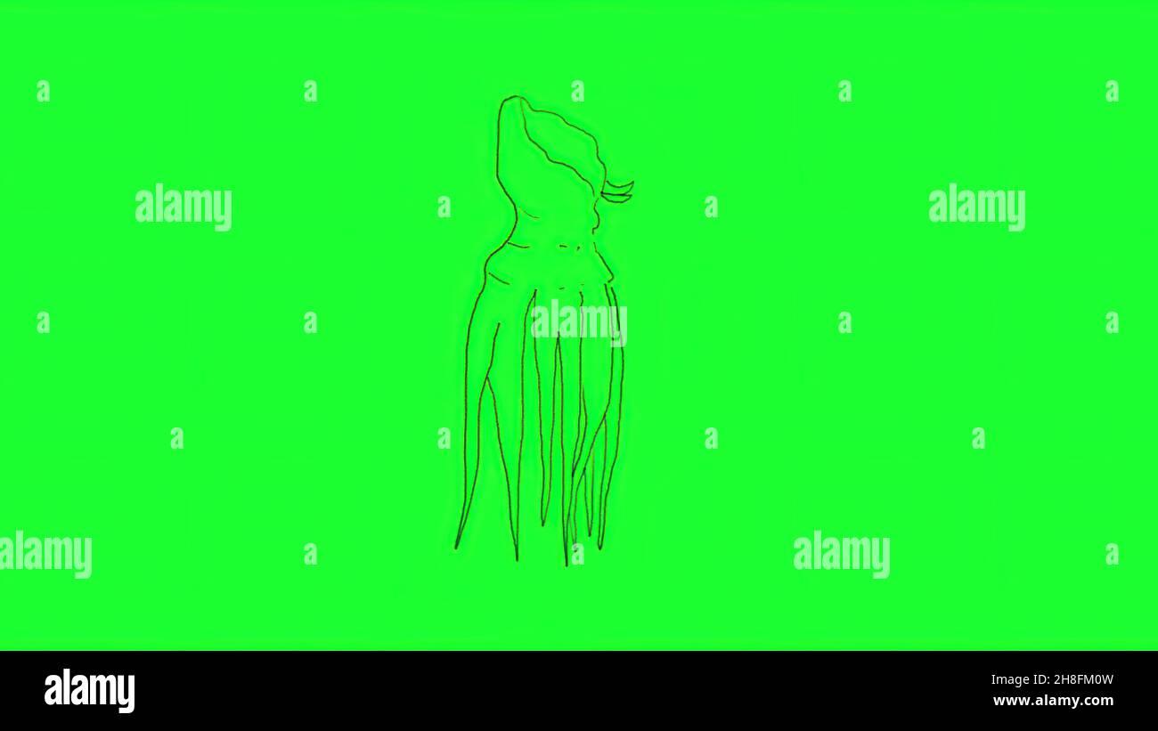 3d illustration - Hand Drawn of Monster Octopus on green screen Stock ...