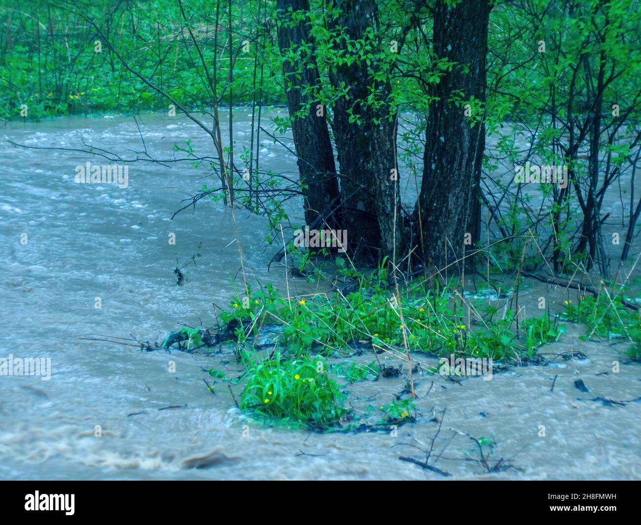 Heavy spring water flow hi-res stock photography and images - Alamy
