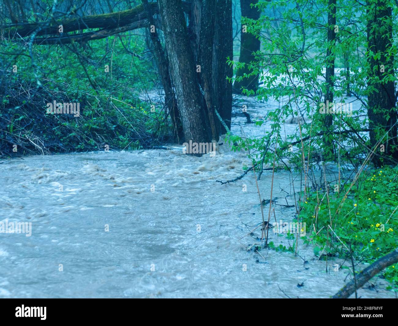 Heavy spring water flow hi-res stock photography and images - Alamy