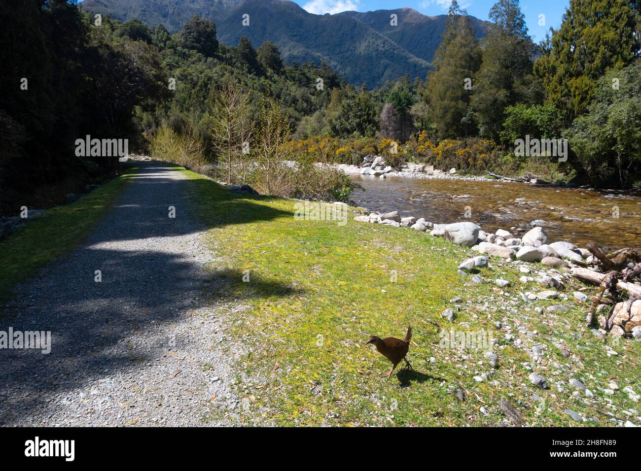 Arahura river trail new zealand hi-res stock photography and images - Alamy